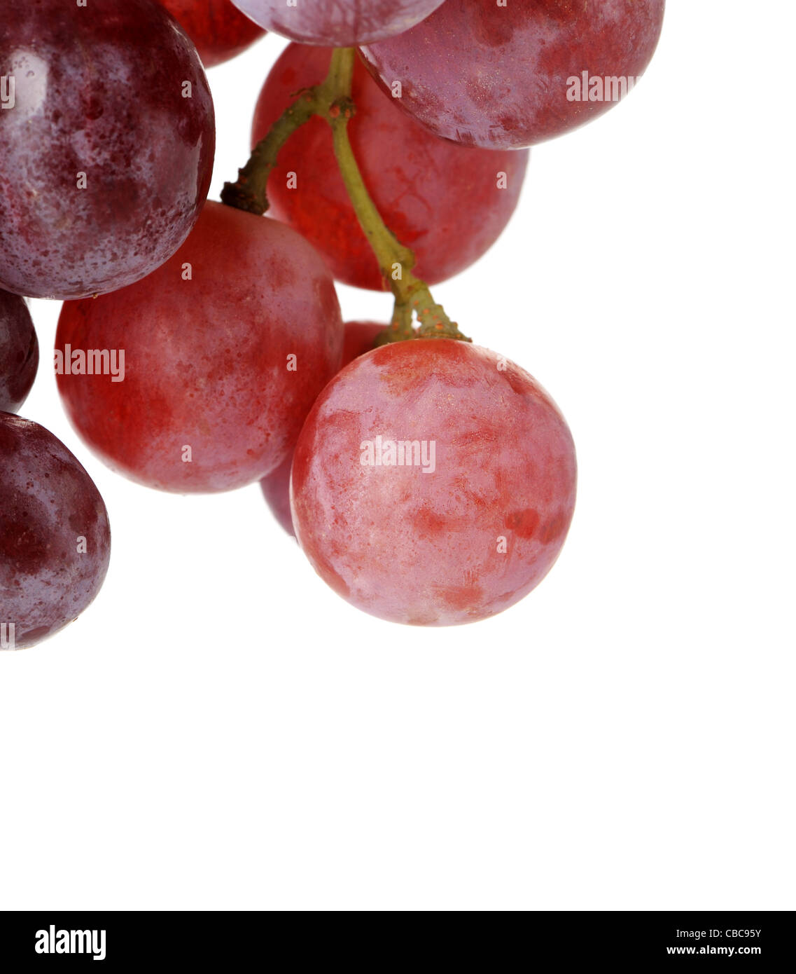 Grapes cluster. A close up it is isolated on a white background Stock ...