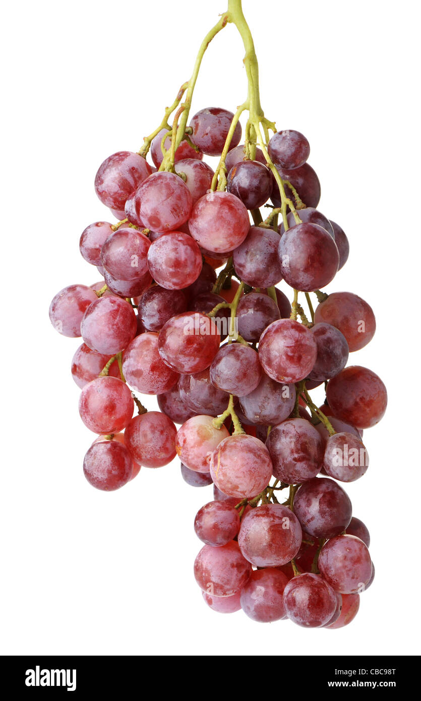 Grapes cluster. A close up it is isolated on a white background Stock ...