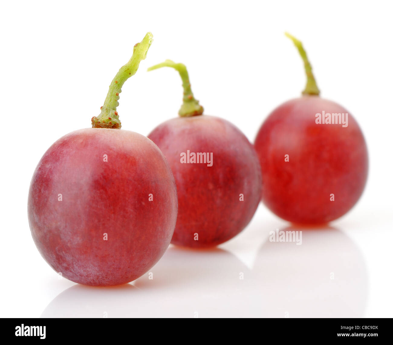 Three berries of red grapes abreast. It is isolated on a white ...