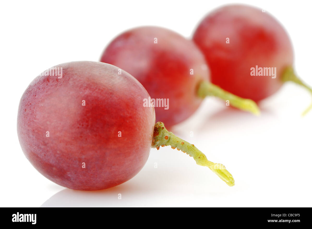Three berries of red grapes abreast. It is isolated on a white ...