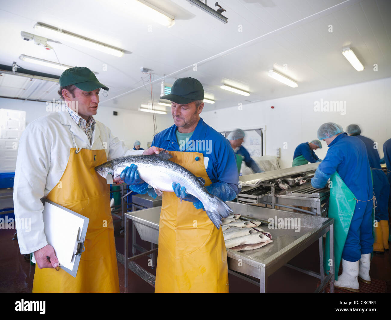 Fishmonger Seafood High Resolution Stock Photography and Images - Alamy