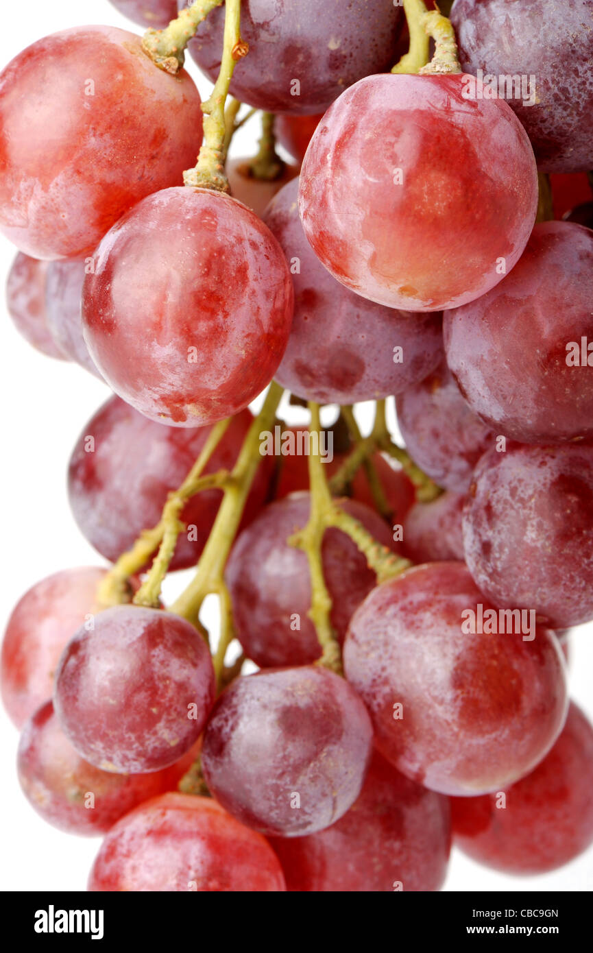 Grapes cluster. A close up it is isolated on a white background Stock ...
