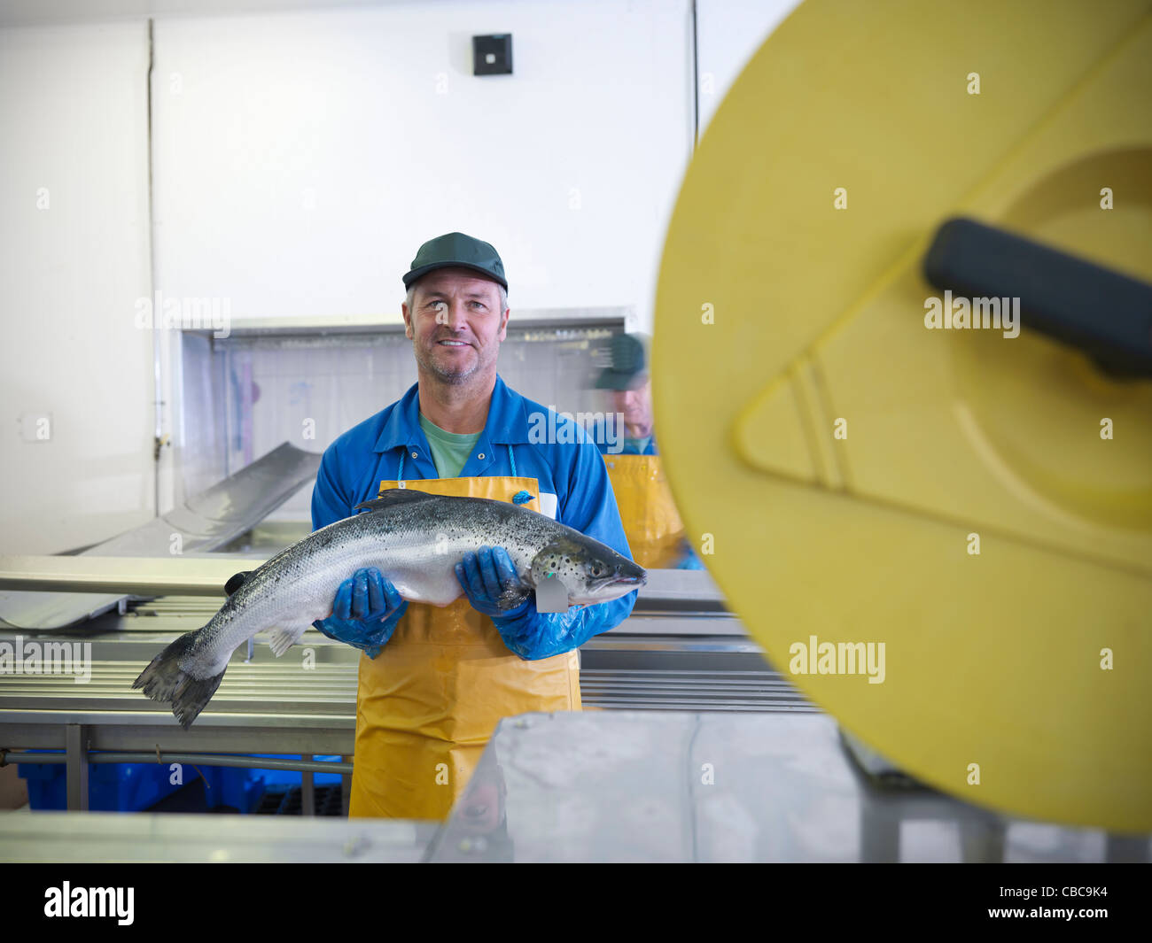 Processing animal hi-res stock photography and images - Alamy