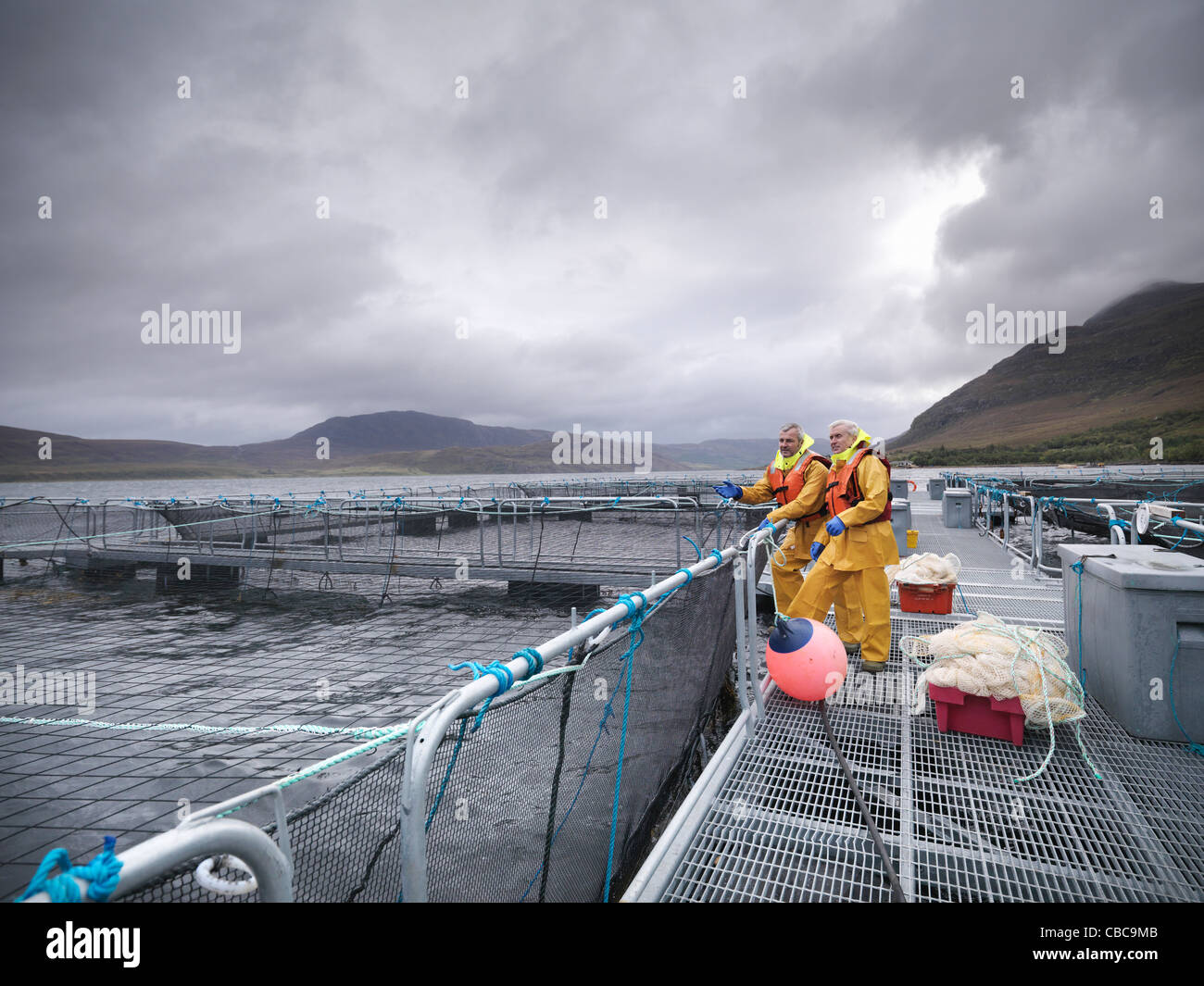 Salmon farm workers hi-res stock photography and images - Alamy