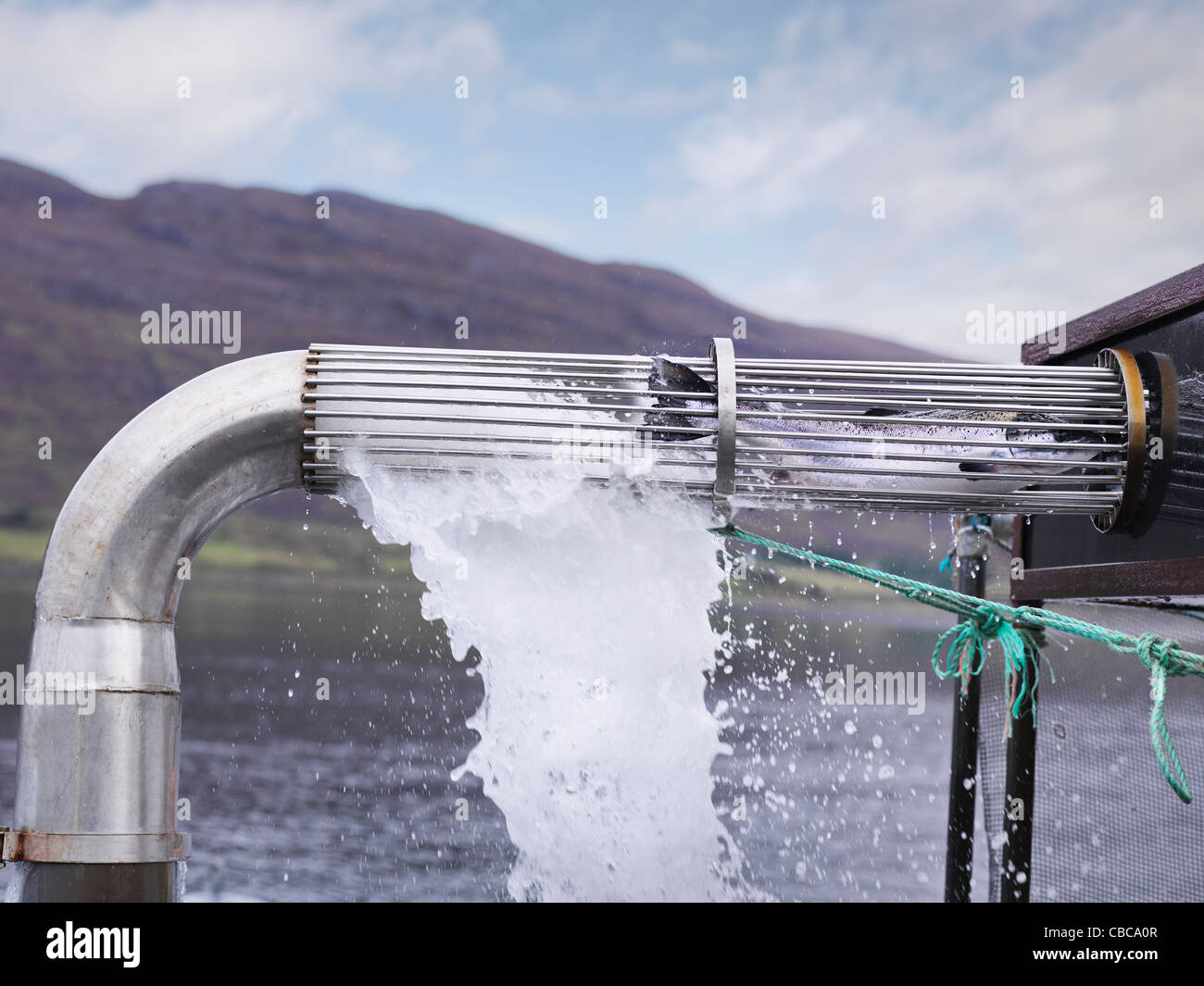 Harvesting salmon hi-res stock photography and images - Alamy