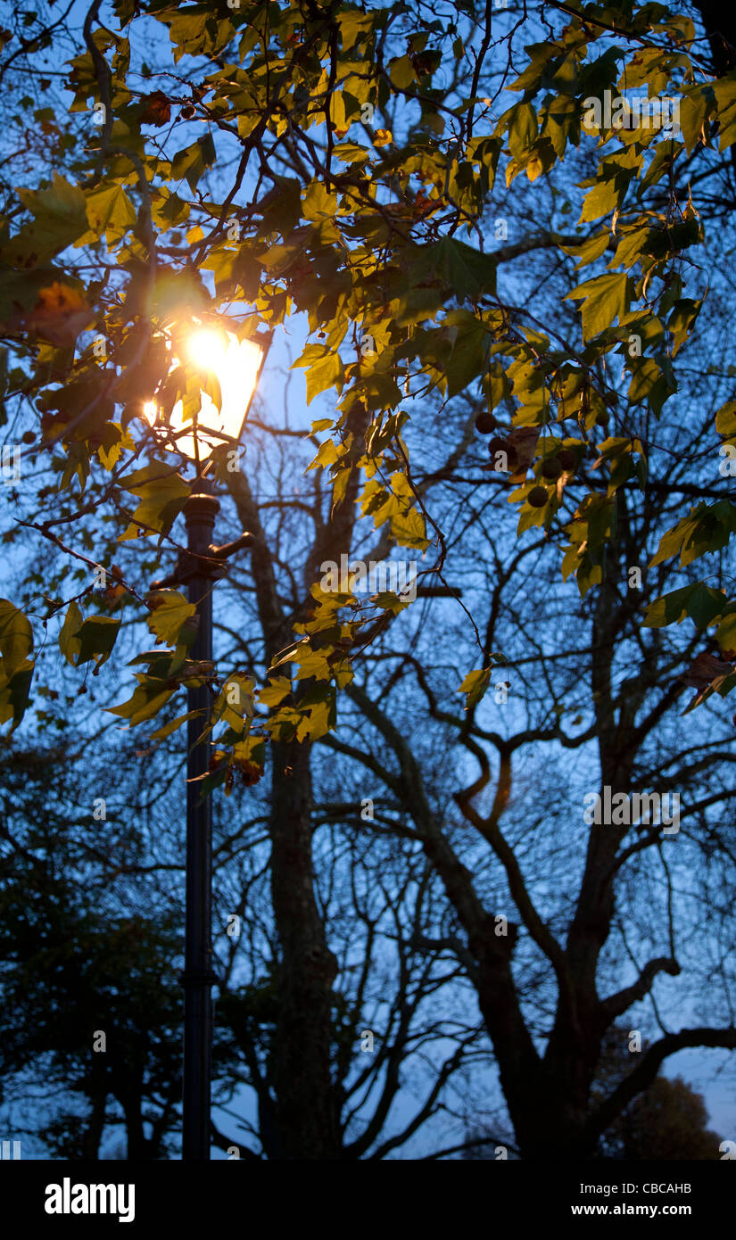 Lit Lampposts on Clapham at Night Stock Photo - Alamy