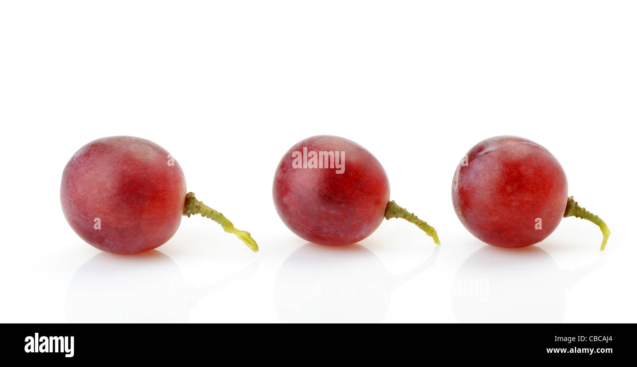 Three berries of red grapes abreast. It is isolated on a white ...