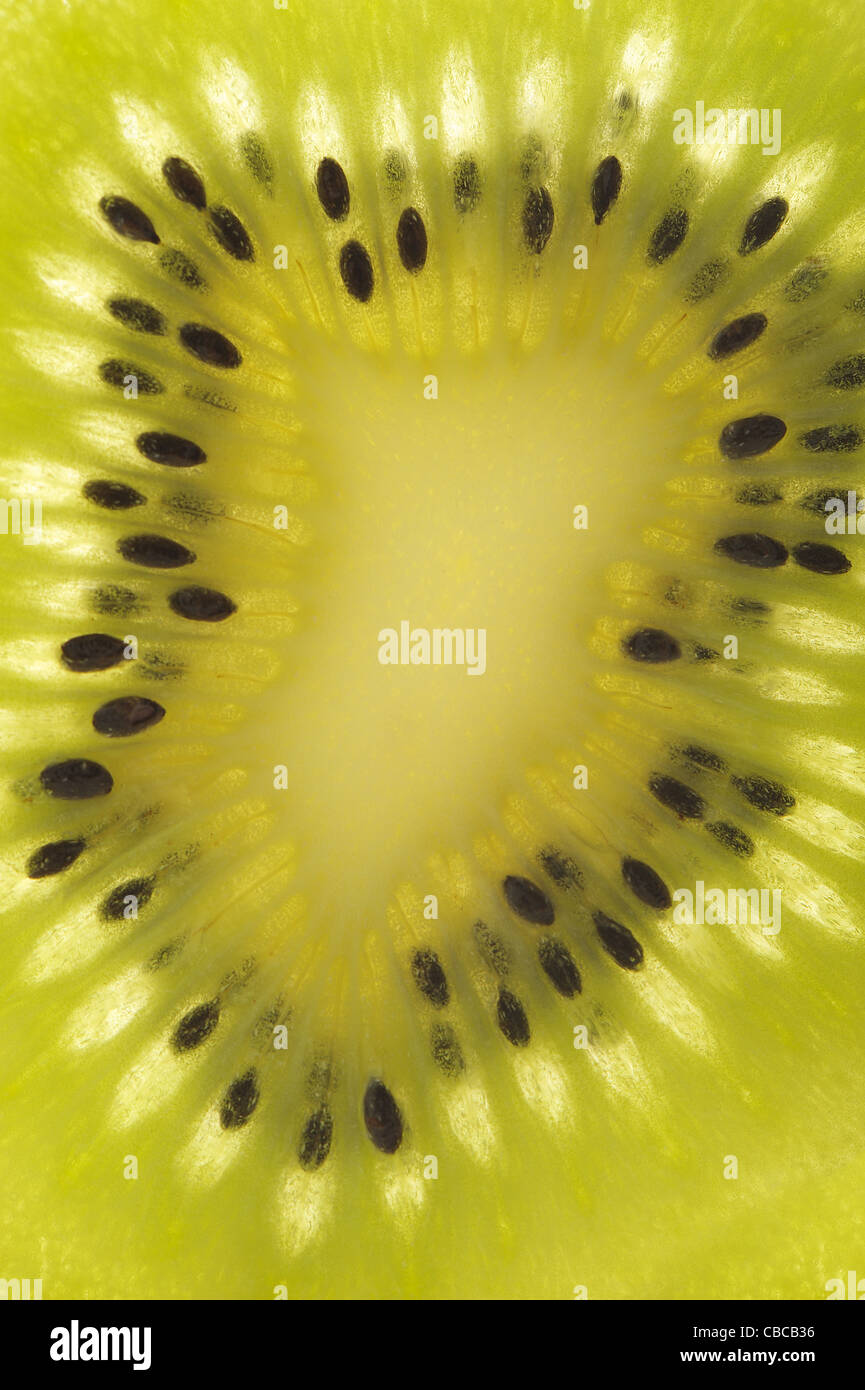 Texture section kiwi fruit . A detailed photo close up of exotic fruit ...