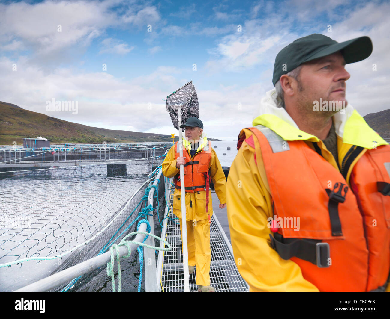 Walking together wildlife hi-res stock photography and images - Alamy