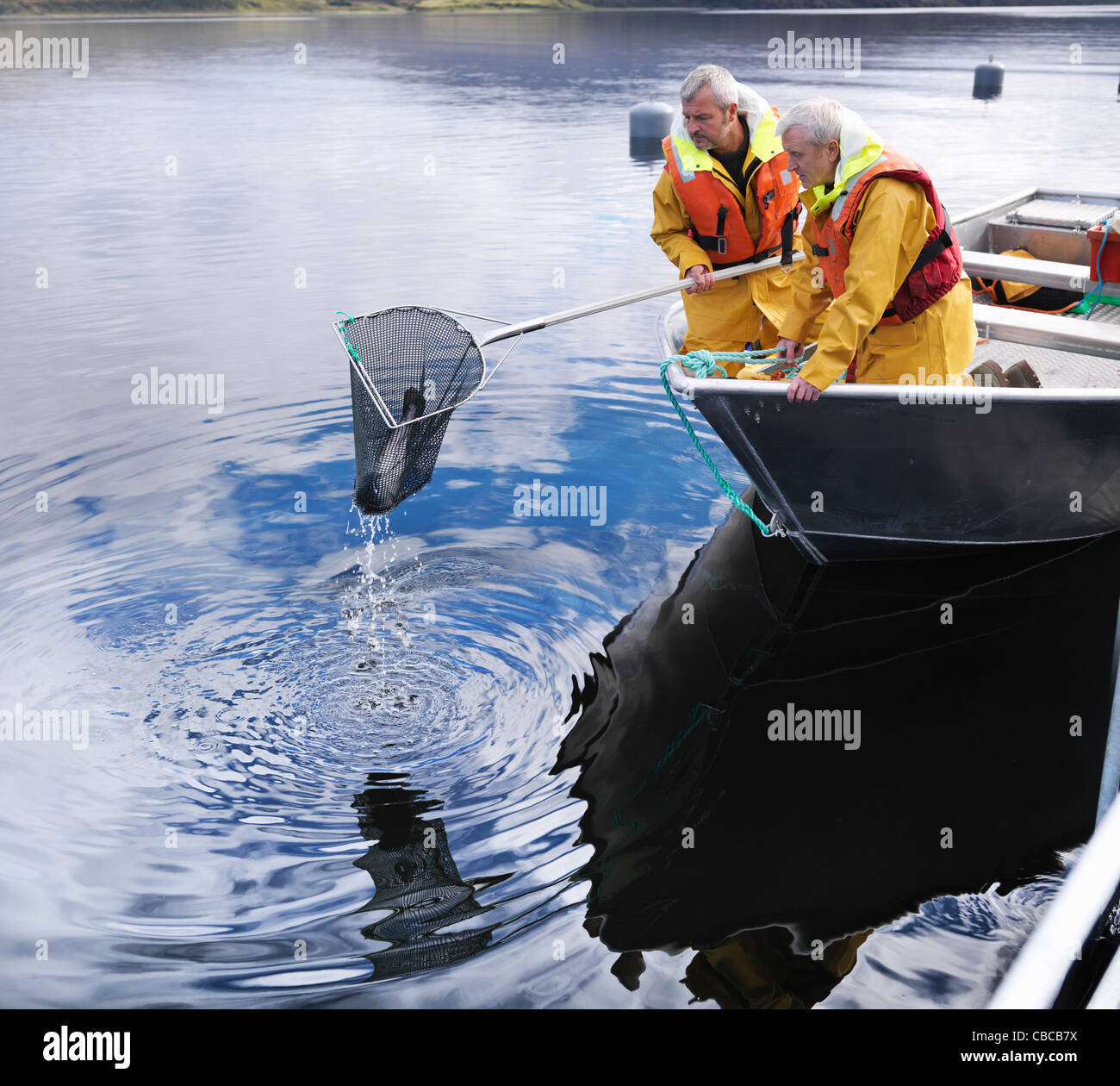 Net operating hi-res stock photography and images - Alamy