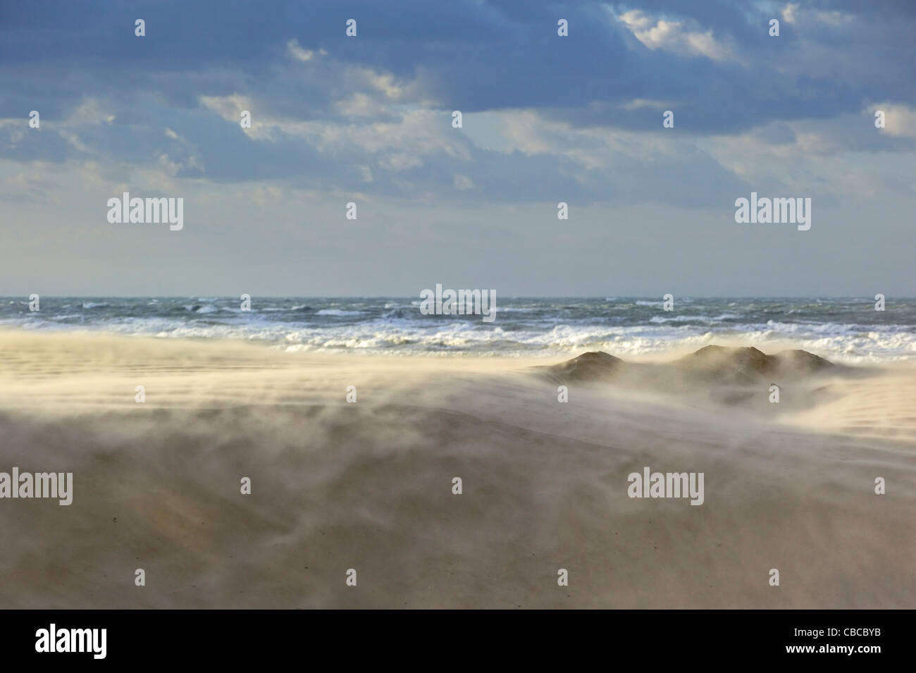 Shifting sands blown up by the wind on beach along the North Sea during ...