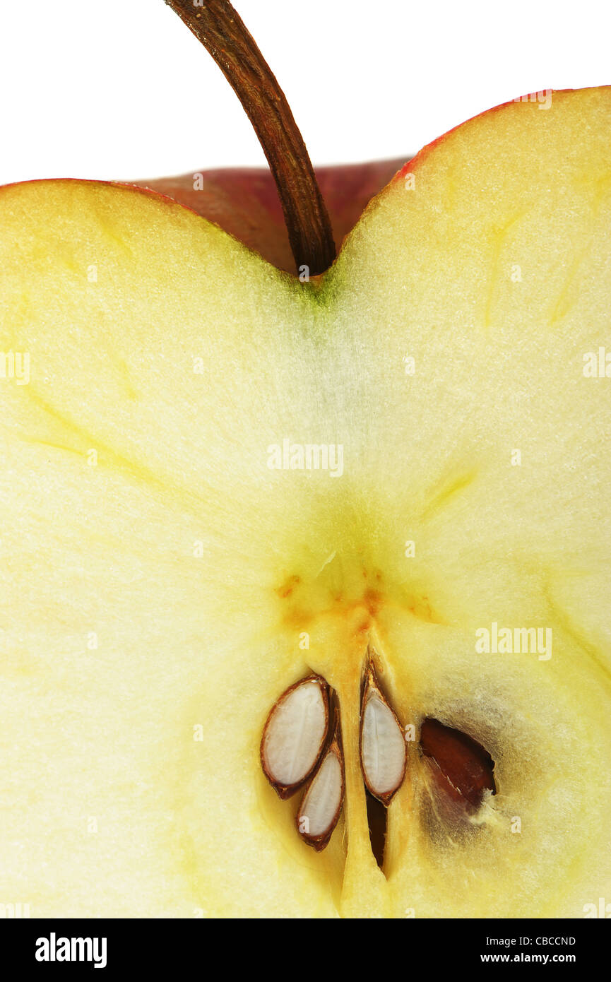Texture cut an apple. A detailed photo of fruit on a white background ...
