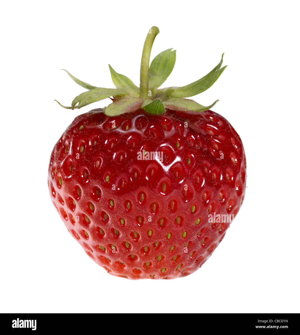 Studio photography of a red shiny strawberry isolated on white Stock ...