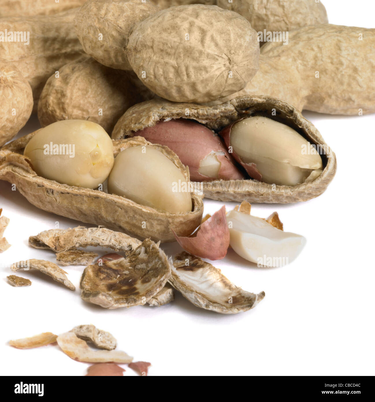 studio photography of a open peanut detail Stock Photo - Alamy