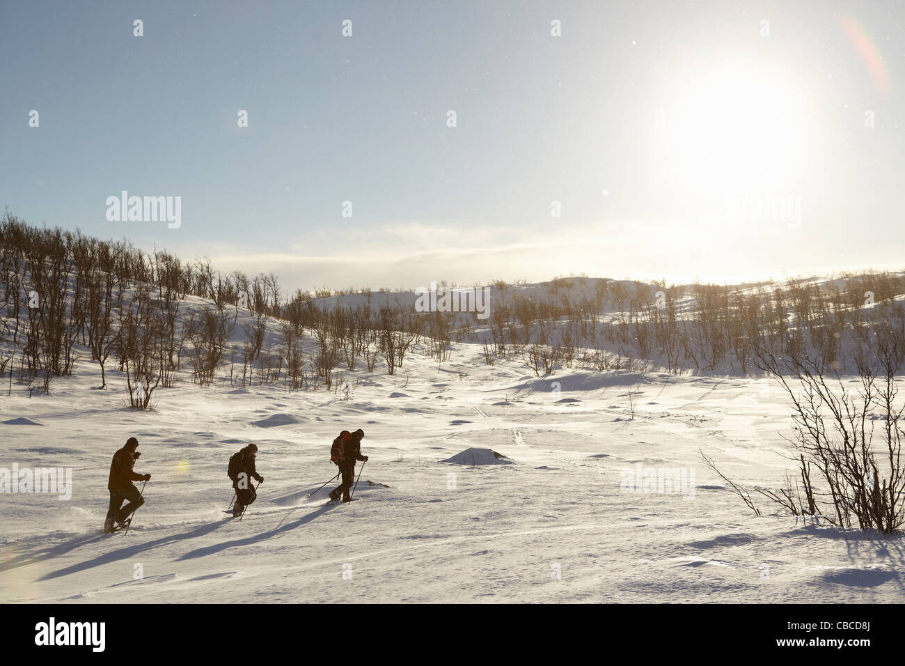 Cross-country skiers walking in snow Stock Photo - Alamy