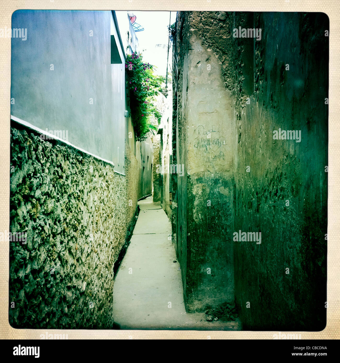 One Of Lamu Narrow Streets, Lamu, Kenya Stock Photo - Alamy