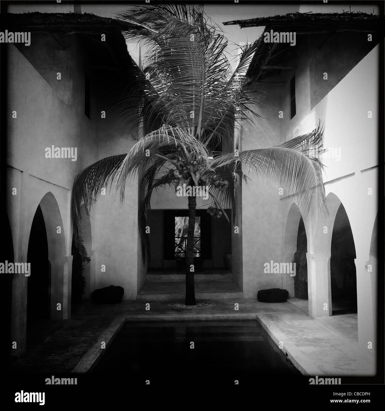 The Arches And Pool In A Typical Lamu House, Lamu, Kenya Stock Photo ...