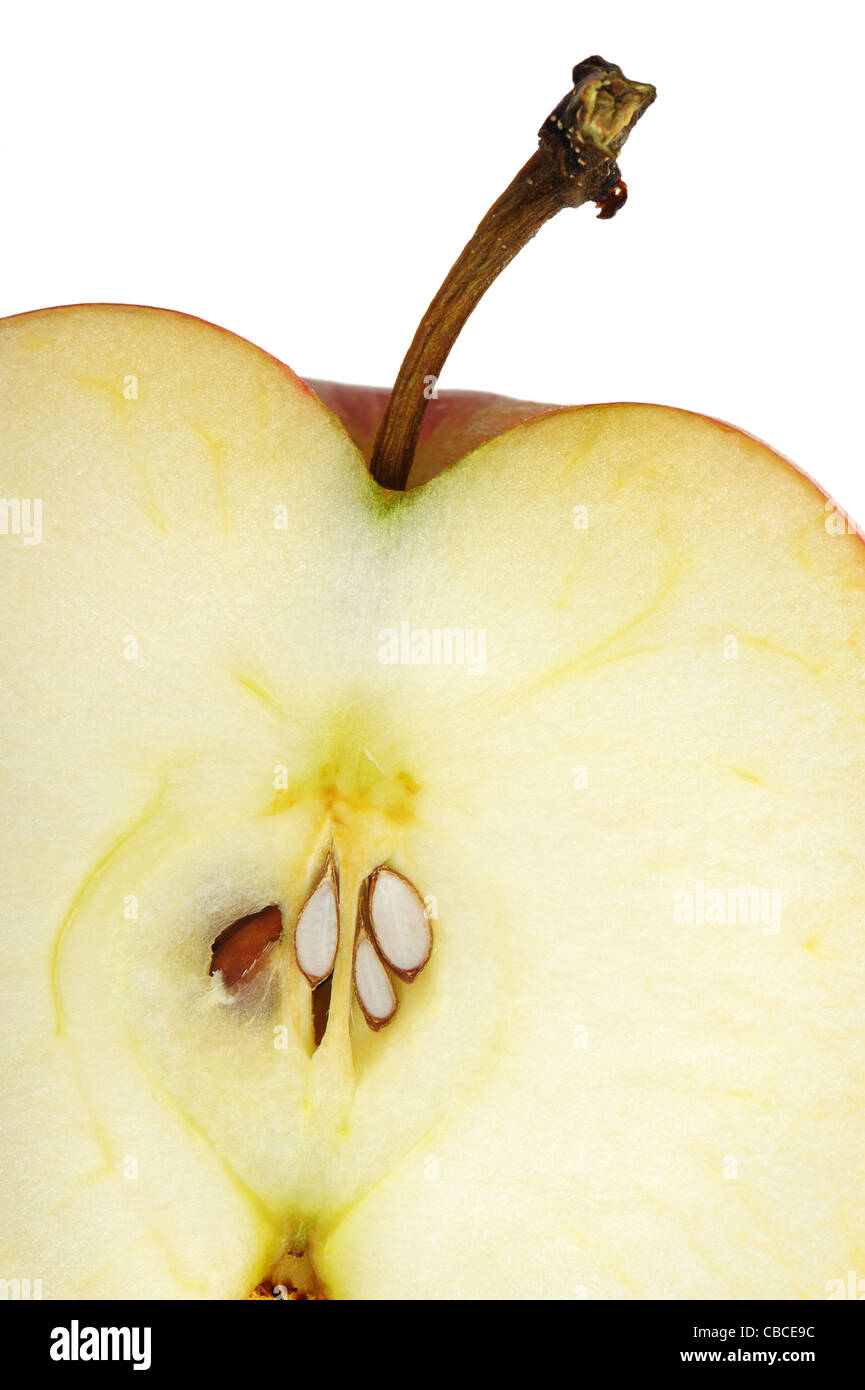 Texture cut an apple. A detailed photo of fruit on a white background ...