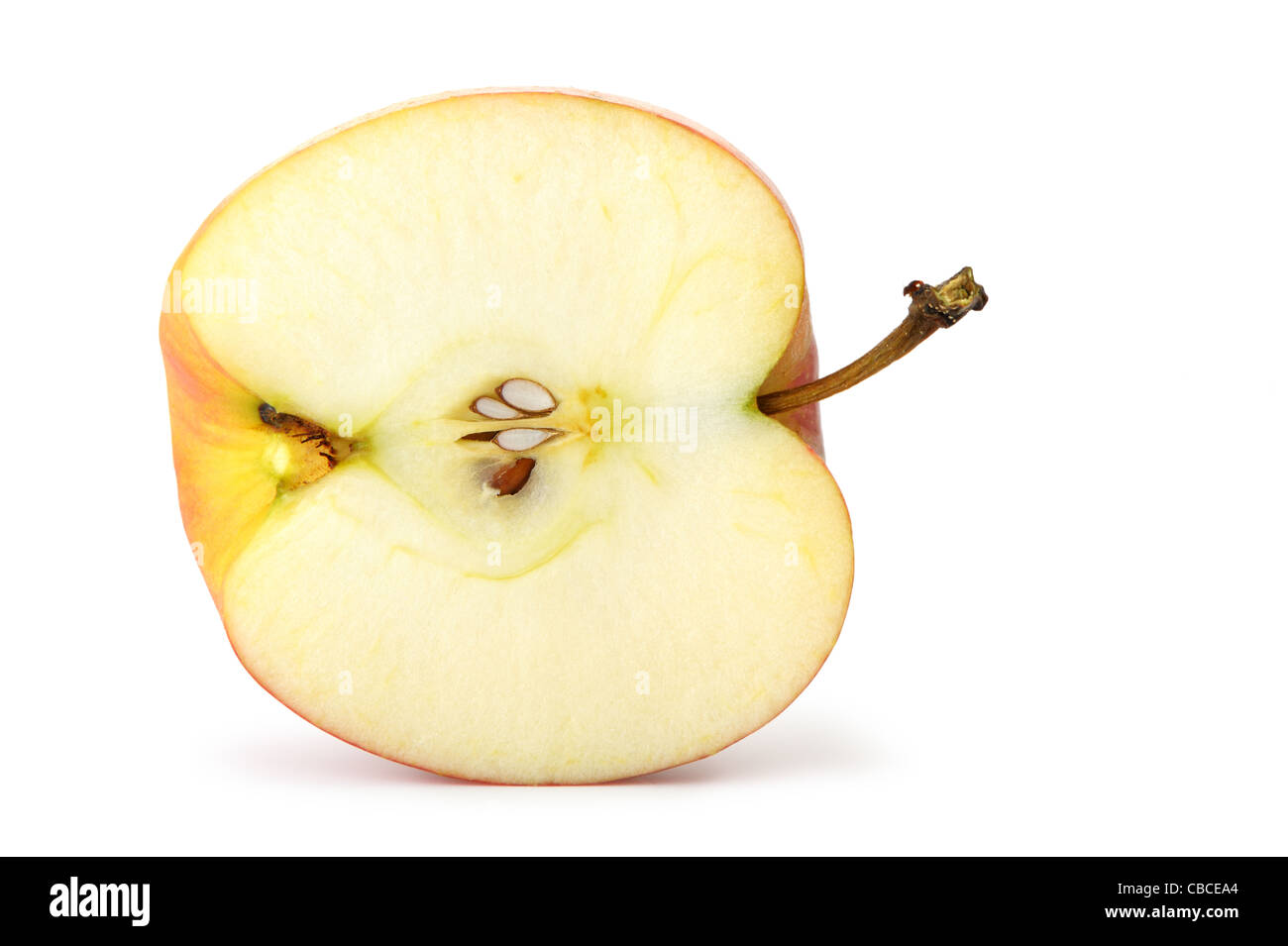 The cut apple. A detailed photo of fruit on a white background Stock ...