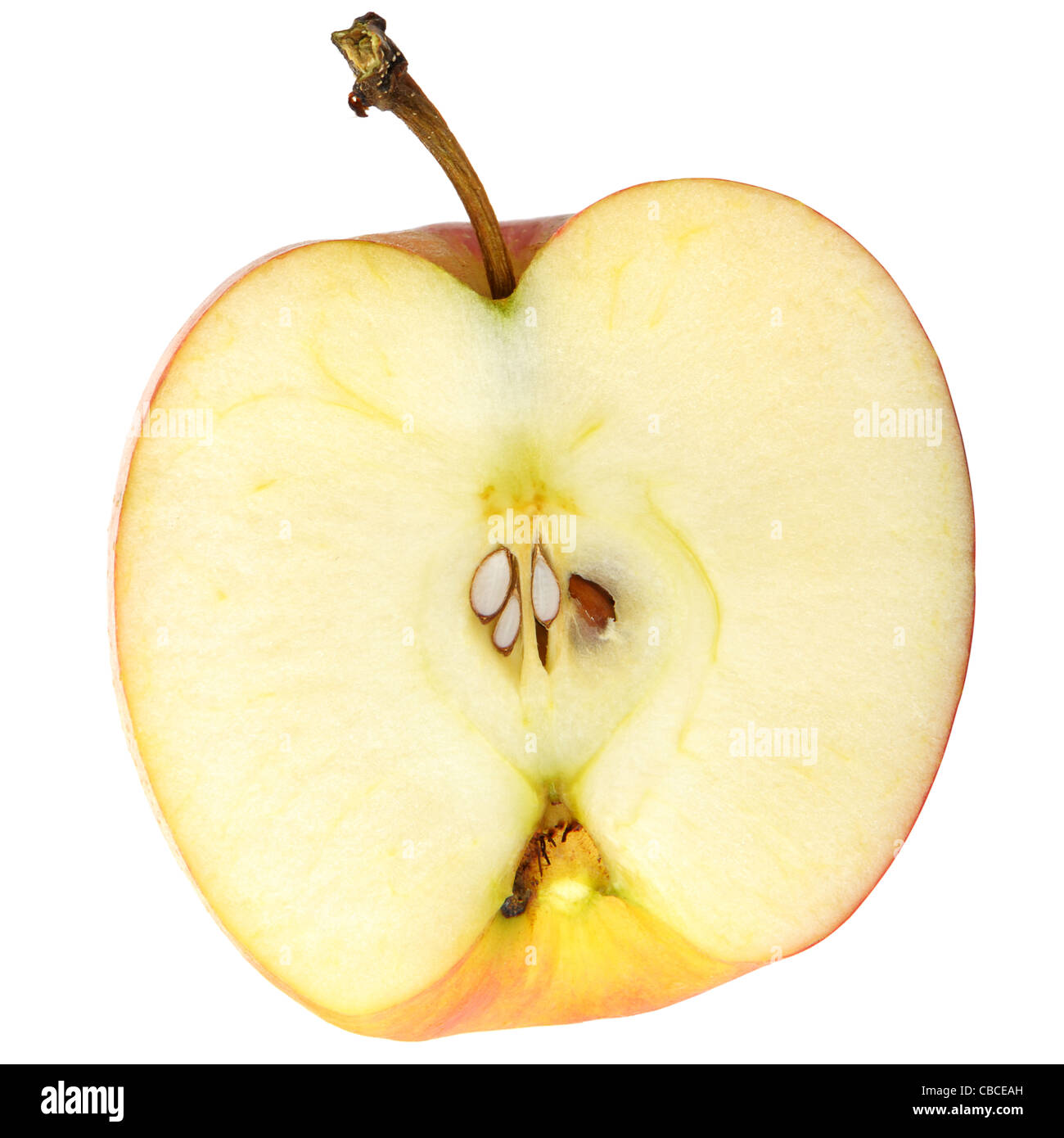 The cut apple. A detailed photo of fruit on a white background Stock ...