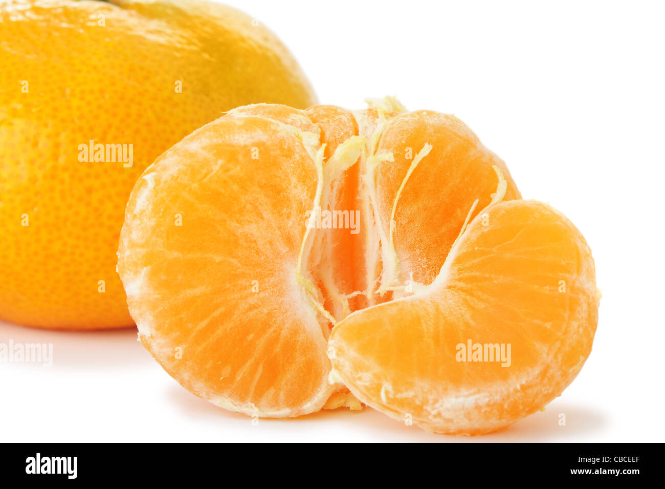 Segments and the whole tangerine. A detailed photo of fruit on a white ...