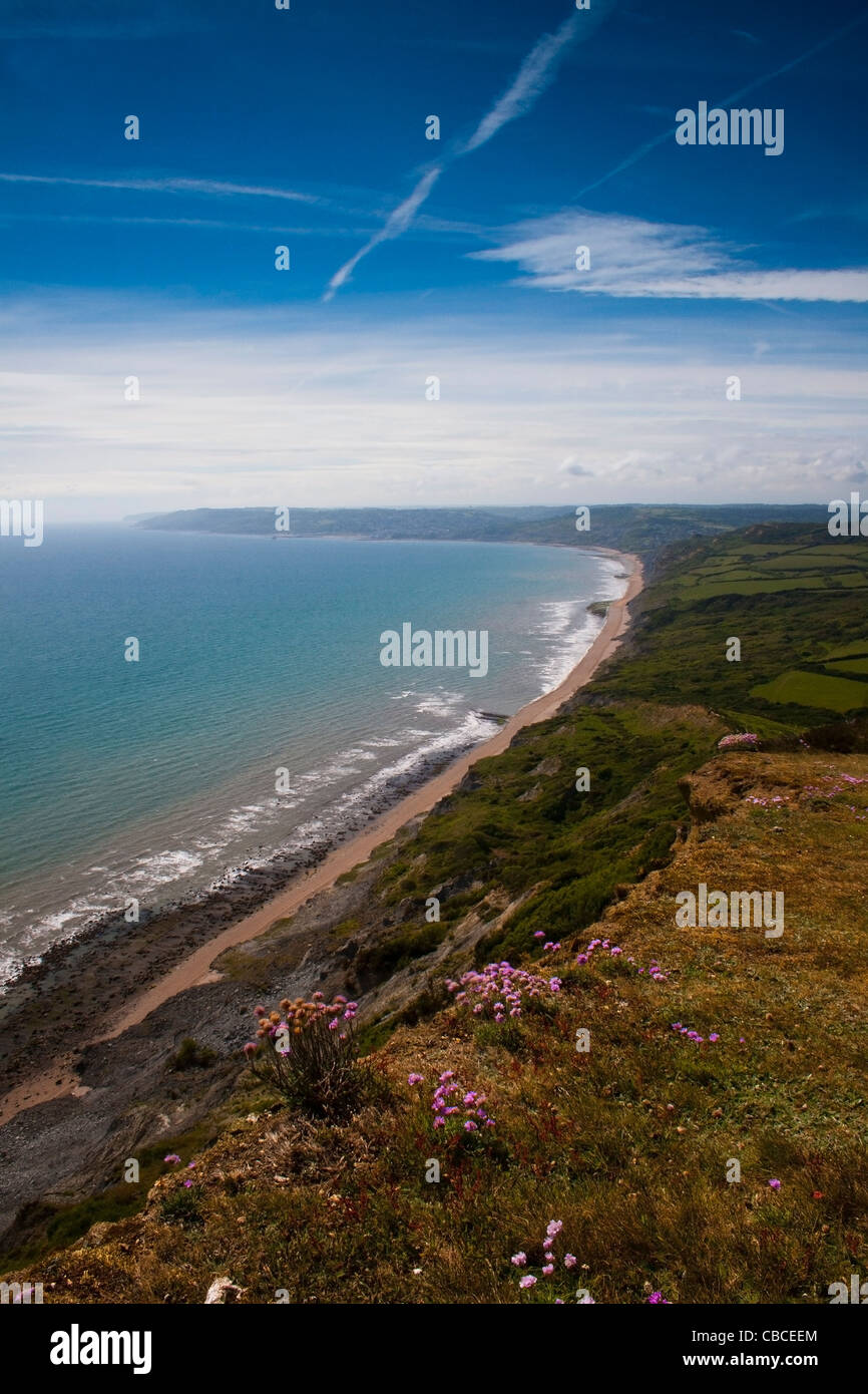 Lyme bay hi-res stock photography and images - Alamy