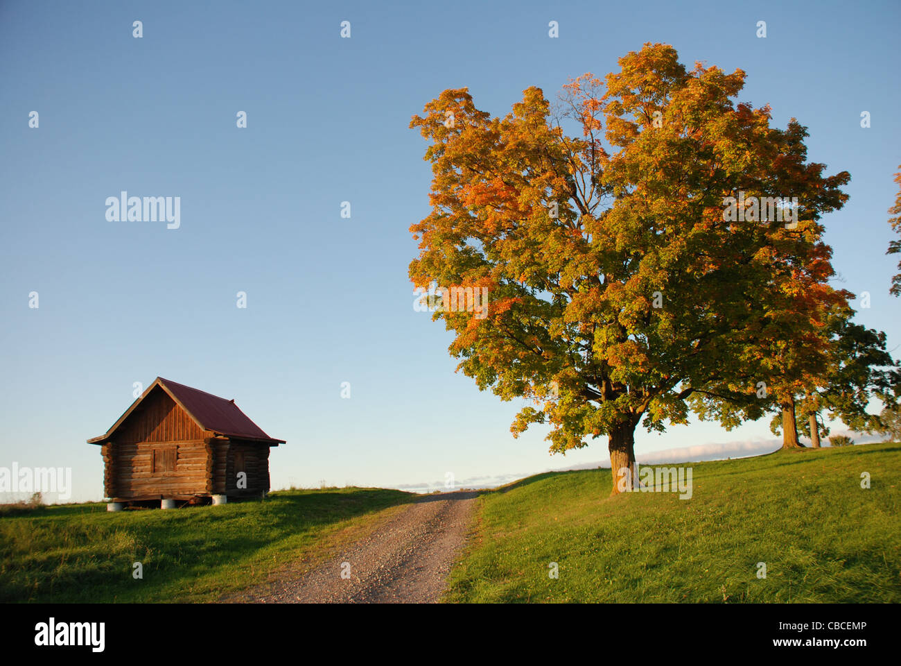 Cabin and tree, taken near sundown in Autumn Stock Photo - Alamy