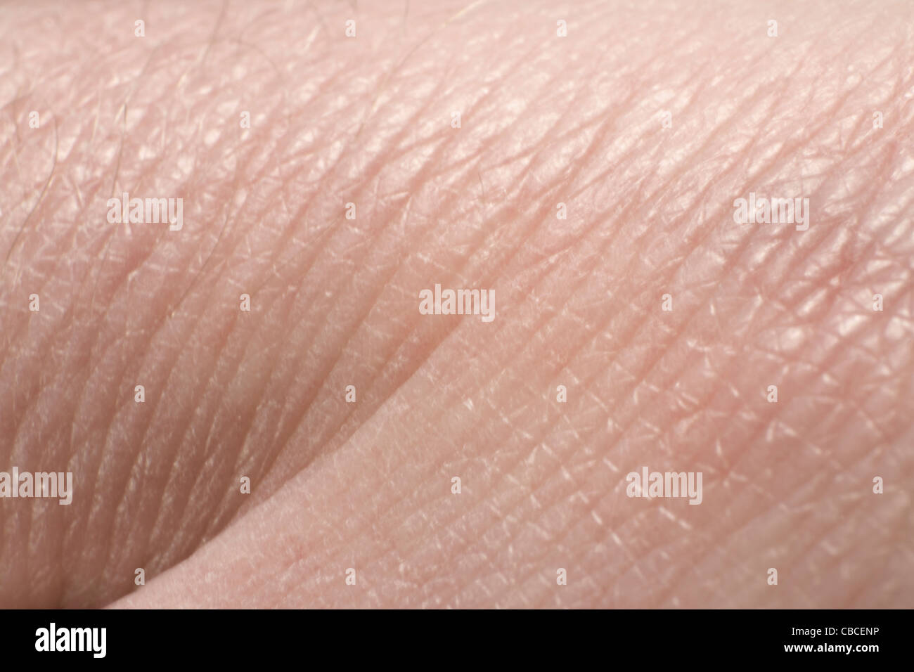 full frame macro shot with human skin Stock Photo - Alamy
