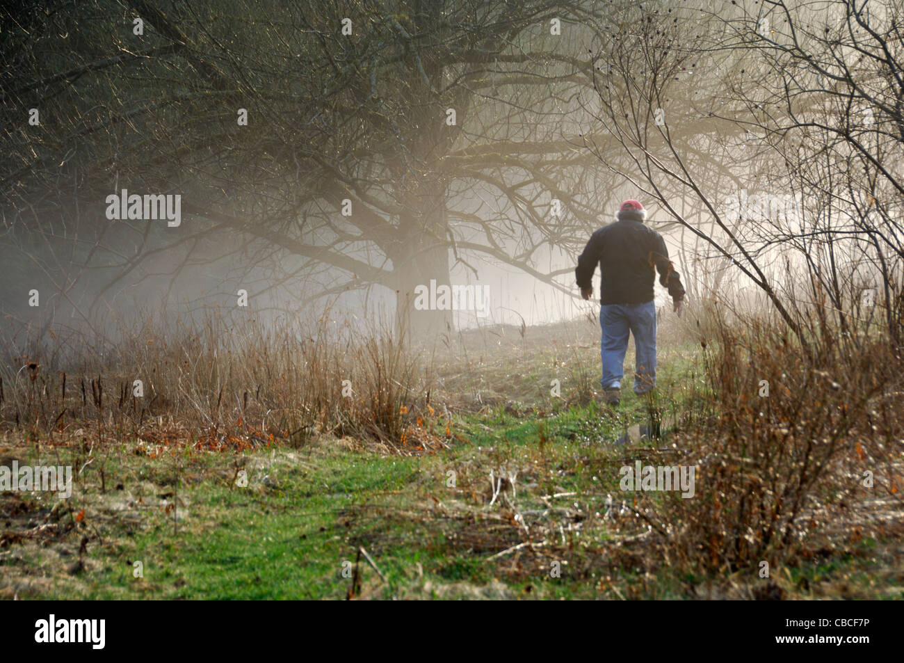 One man walking toward the light Stock Photo - Alamy