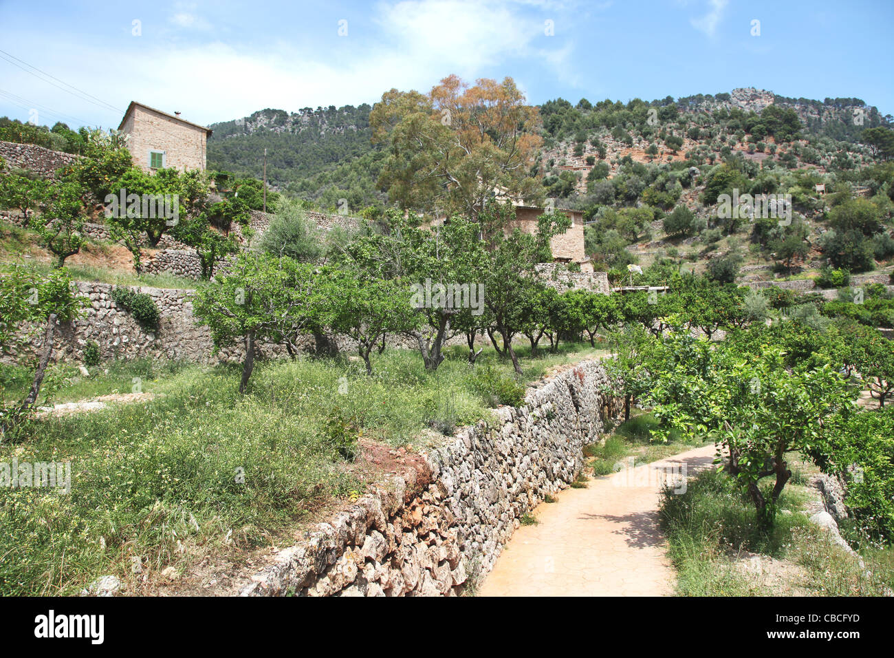 Terraced orchard hi-res stock photography and images - Alamy