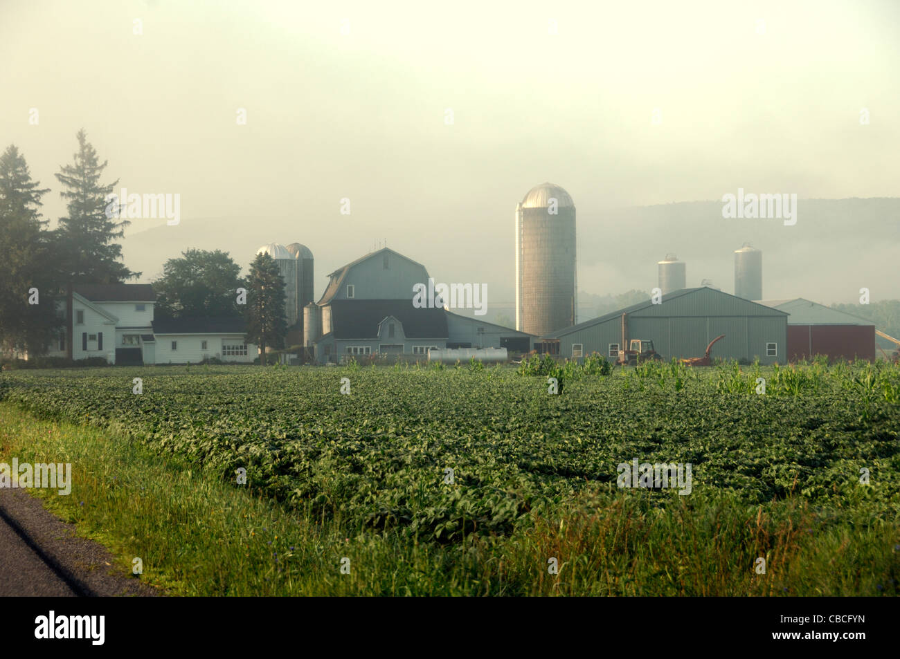 Farm at sunrise Stock Photo - Alamy