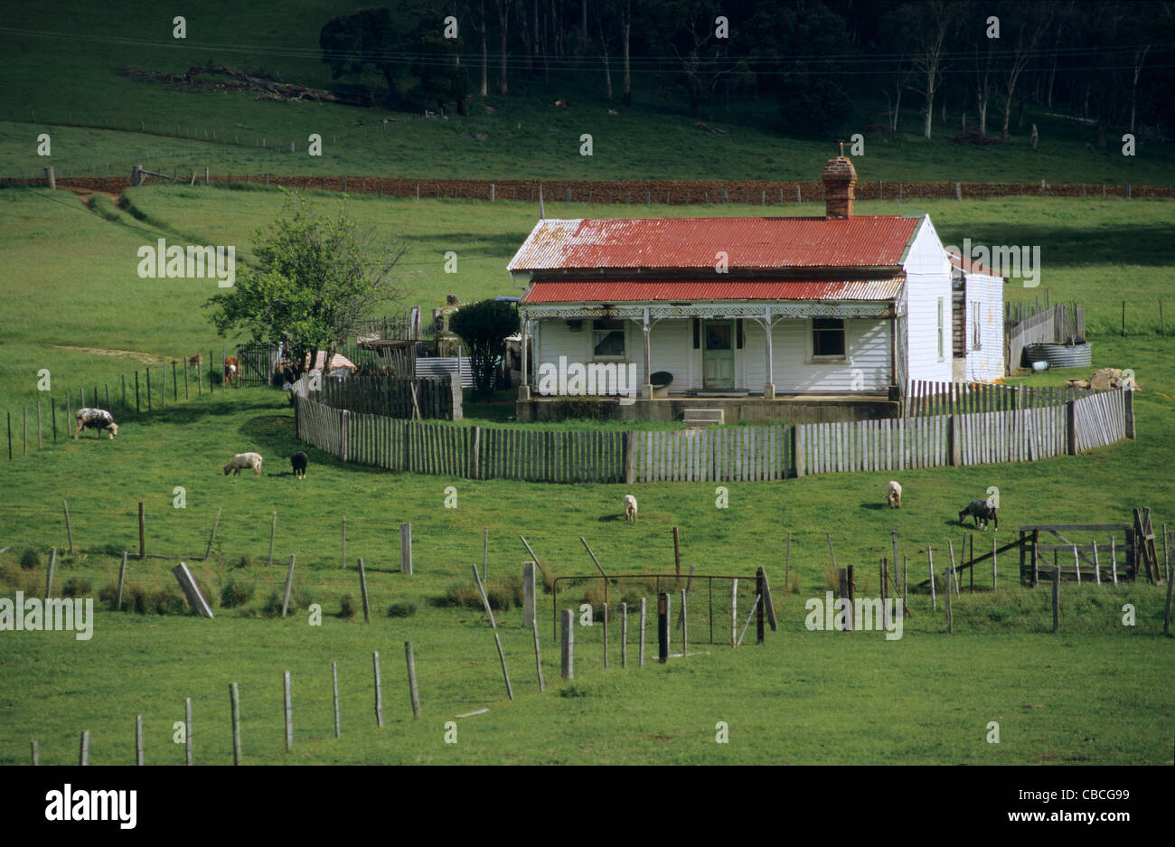 Sheep farmhouse hi-res stock photography and images - Alamy
