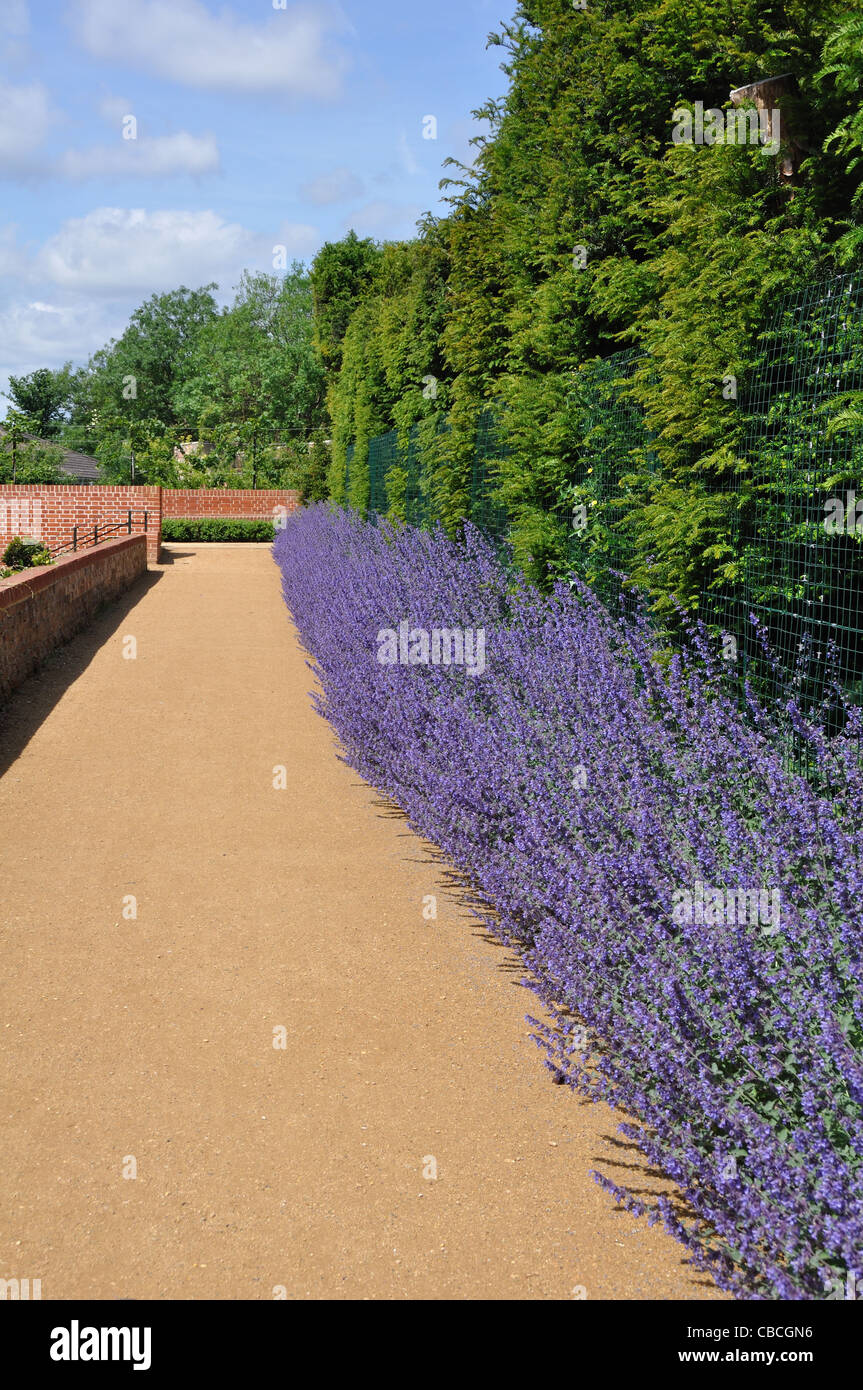 Caversham Court, Reading, Berkshire, u.k Stock Photo - Alamy