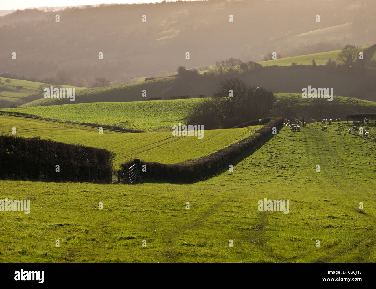 Cold Ashton South Gloucestershire England UK Stock Photo - Alamy