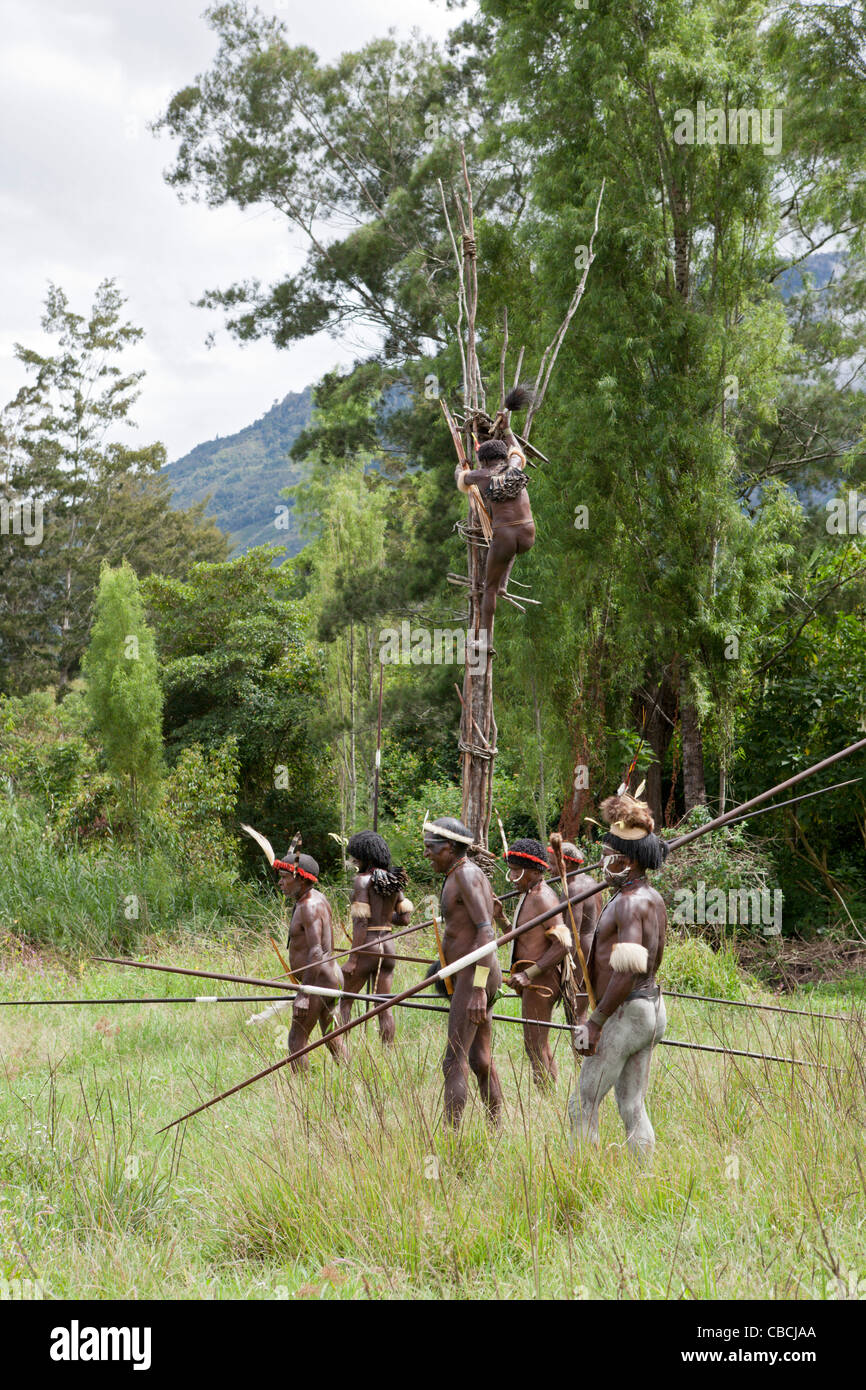 Dani tribe of new guinea hi-res stock photography and images - Alamy