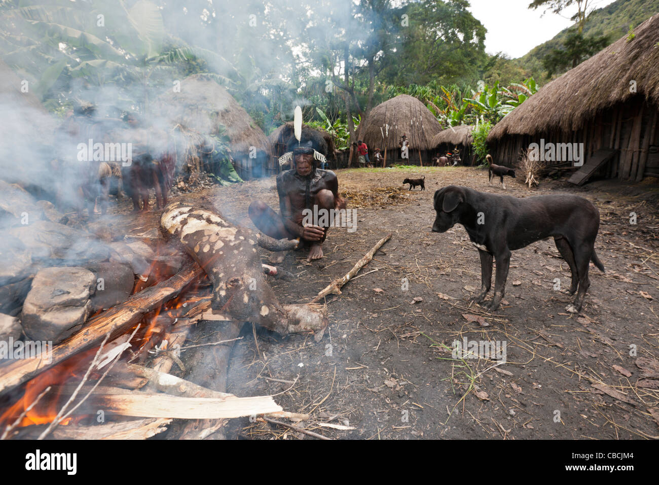 Pig Festival in Dani Village, Baliem Valley, West Papua, Indonesia ...