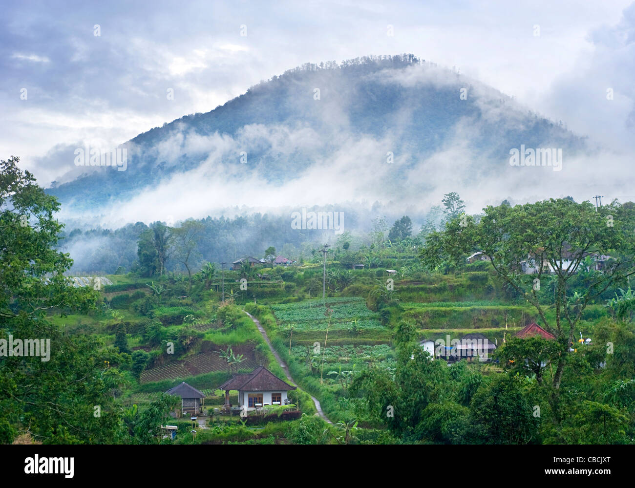 Java village hi-res stock photography and images - Alamy