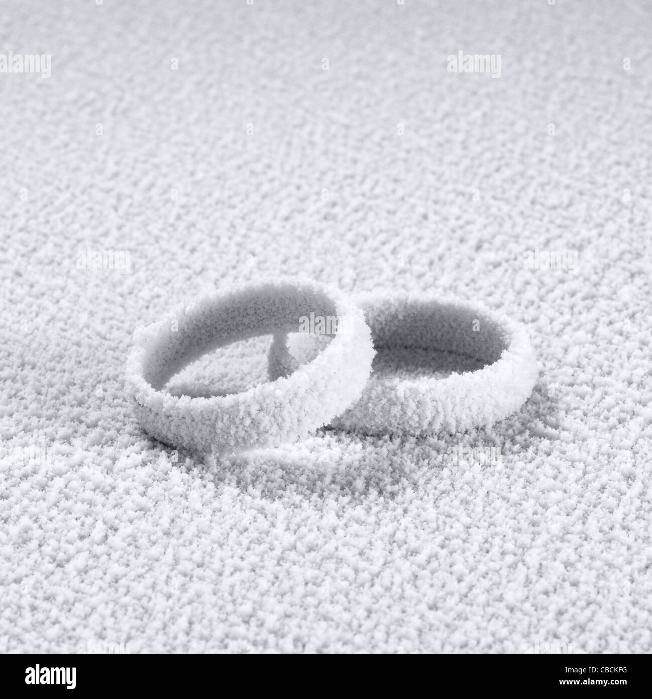 studio photography of two frosted wedding rings in cold ambiance Stock ...