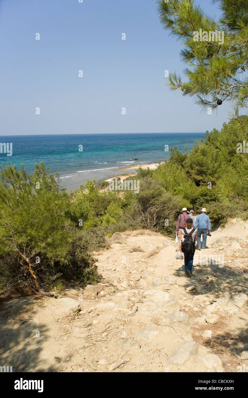 Gully Beach scene of fighting in the 1915 campaign in the First World ...