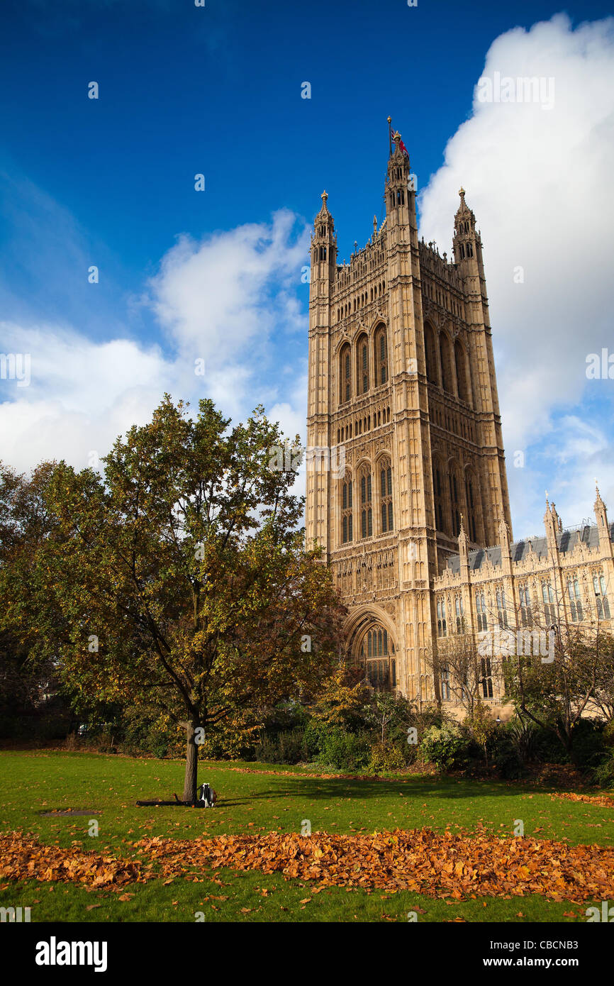 London: Parliament building at the Westminster city Stock Photo - Alamy