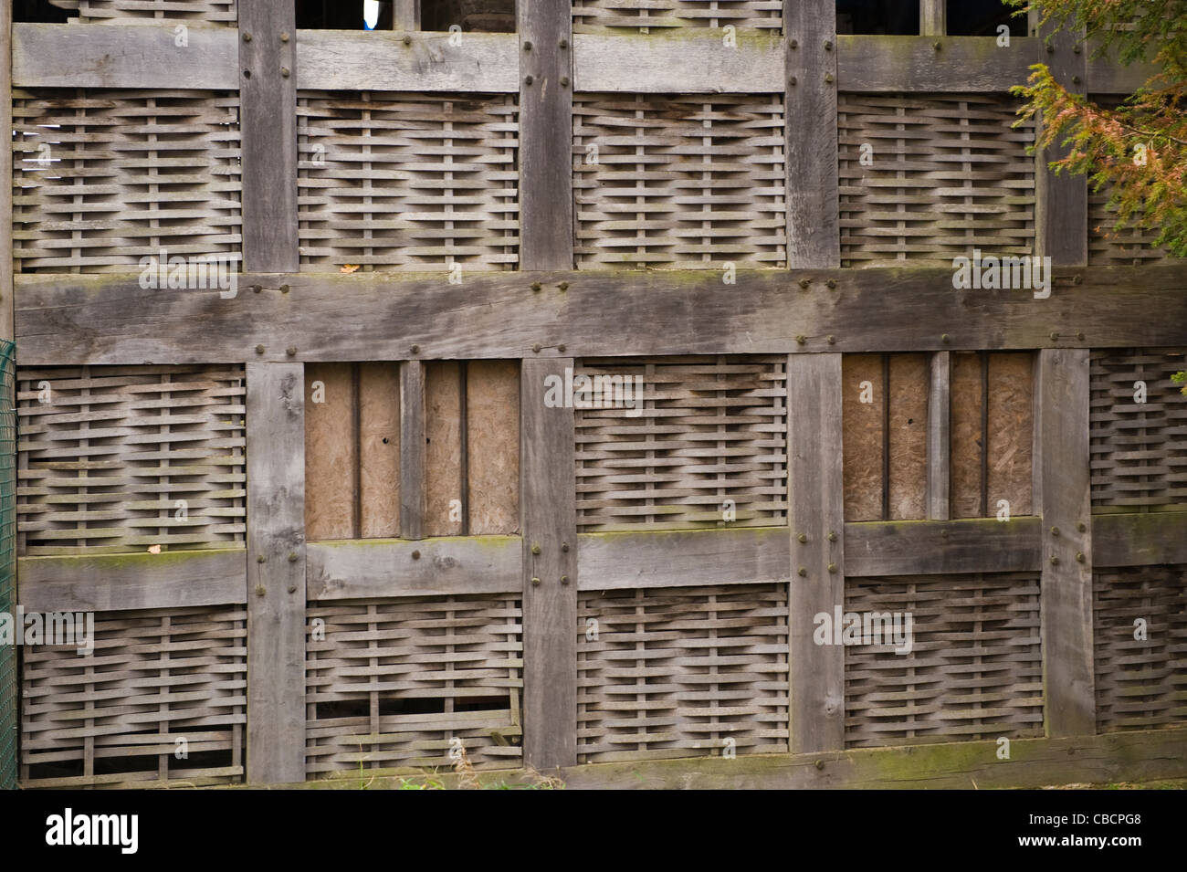 Timber framed period house being restored using traditional methods in ...