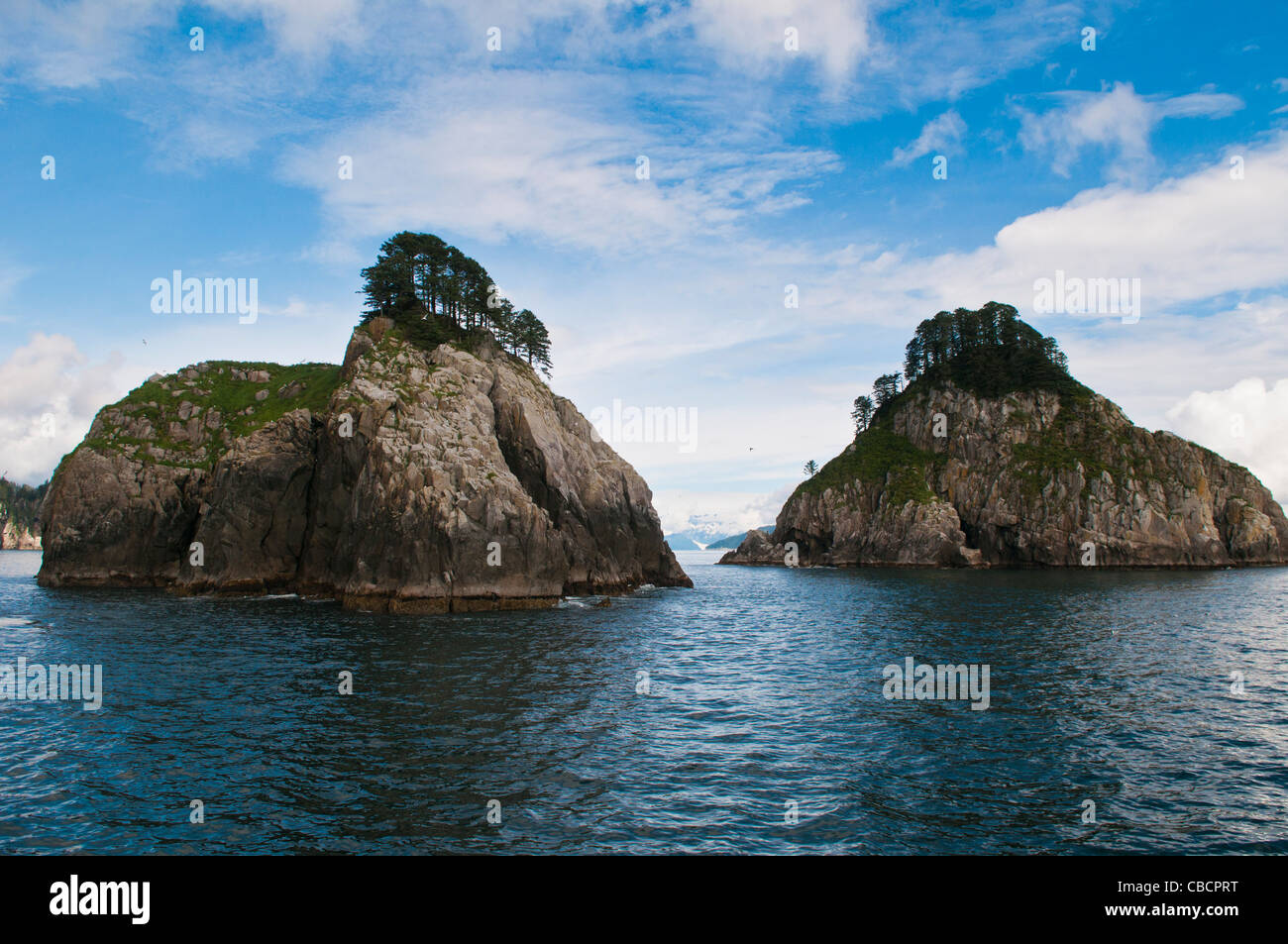 Chiswell Islands, Alaska Maritime National Wildlife Refuge, Kenai ...