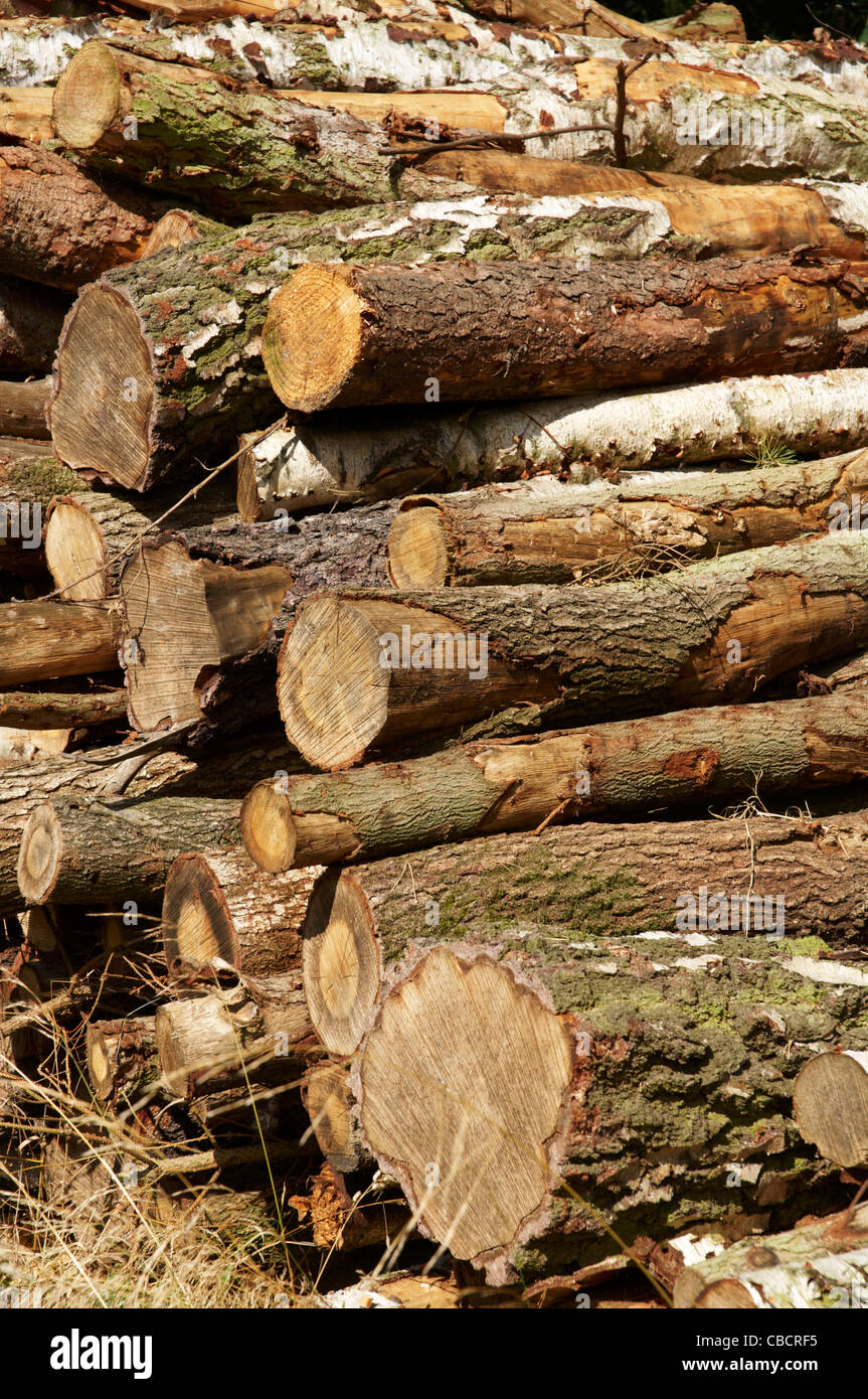 A pile of logs Stock Photo - Alamy