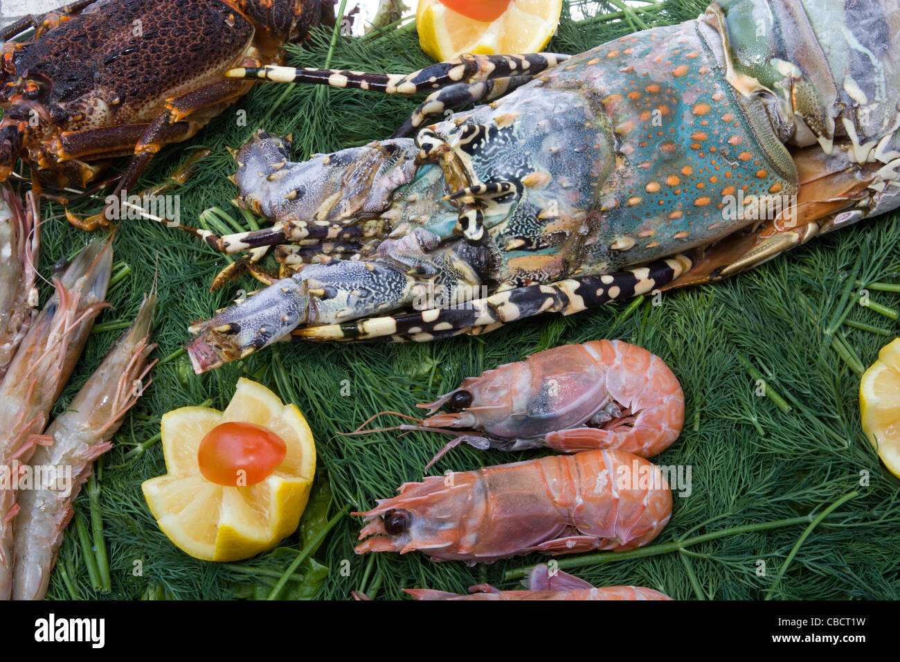 Cape Town: V&A Waterfront - Belthazar Restaurant & Wine Bar / seafood ...