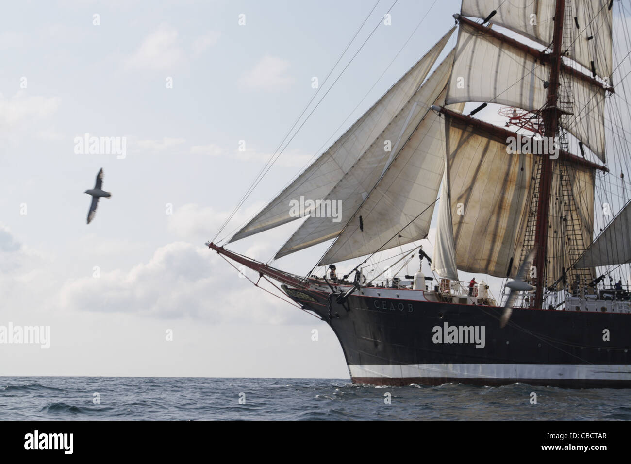 Sailing vessel - Barque Sedov Stock Photo - Alamy