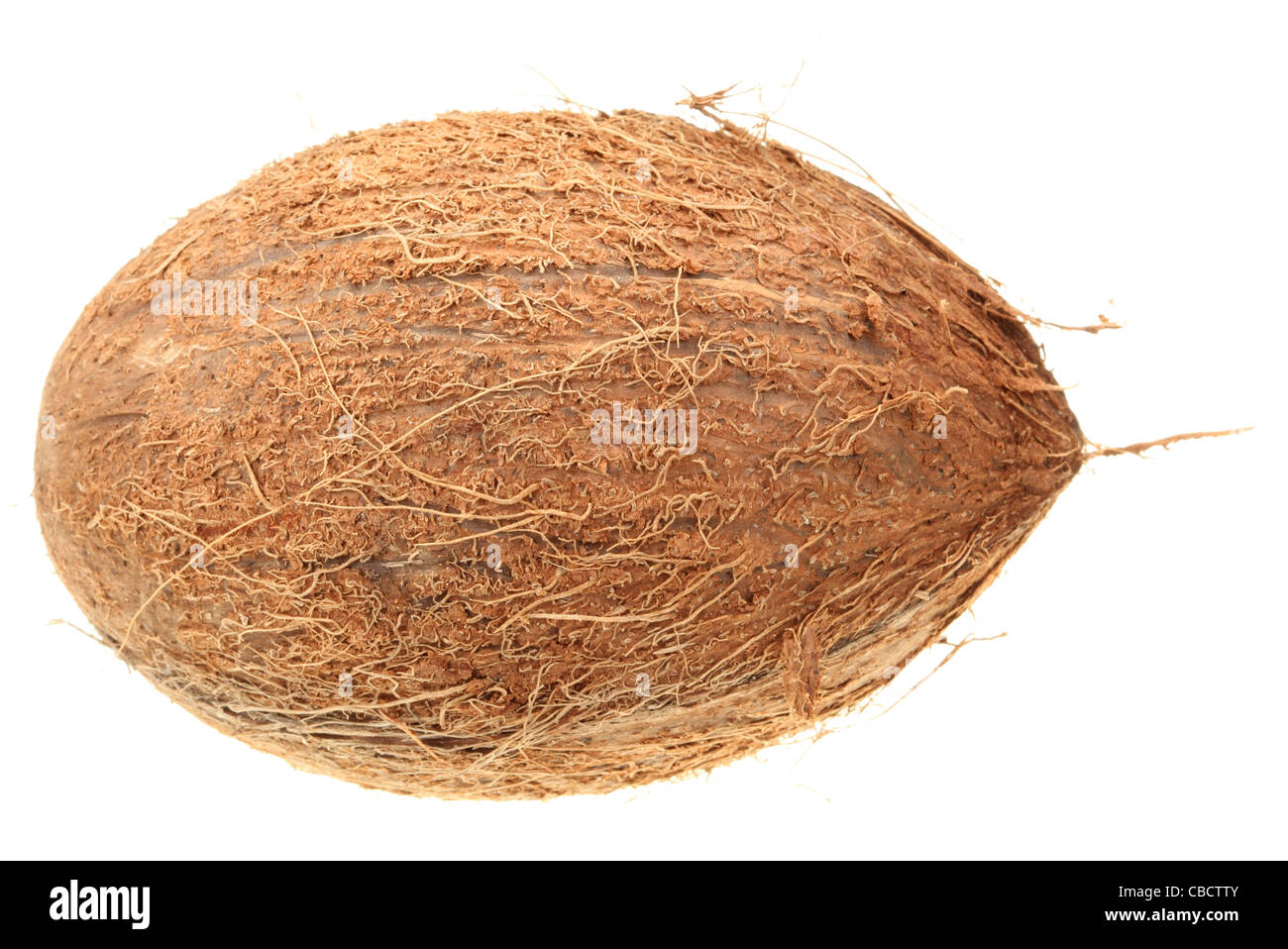 Coconut fruit isolated over white background Stock Photo - Alamy