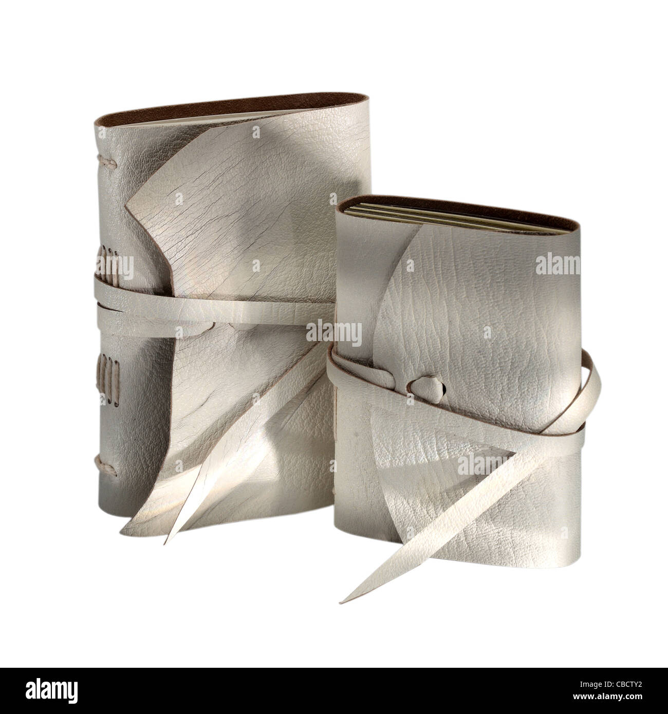 Diary with ring binder hi-res stock photography and images - Alamy