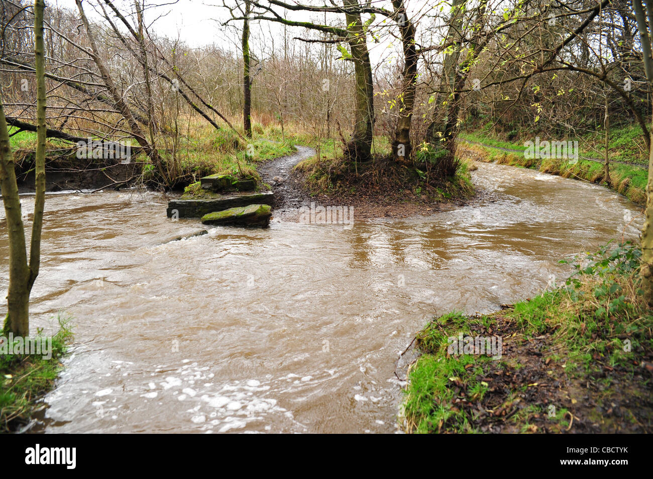 River in flood winding round eroding the embankment and flooding the ...
