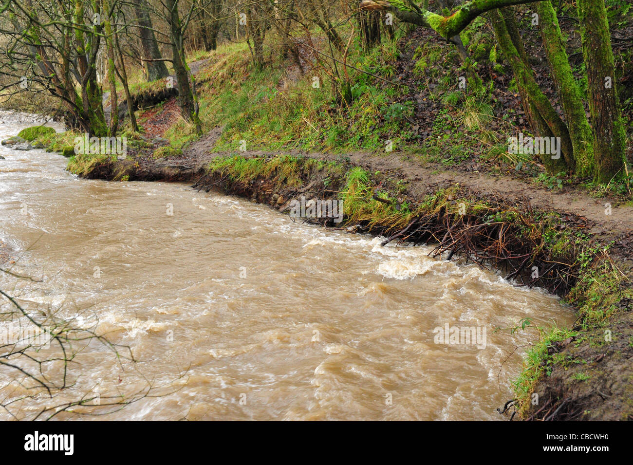 River pathways hi-res stock photography and images - Alamy