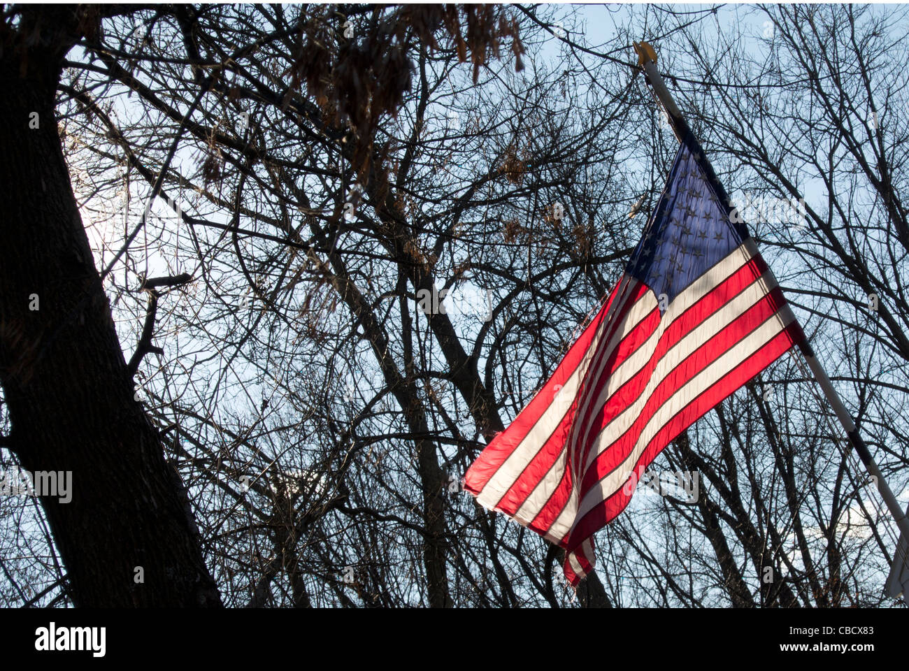 Stars in the woods hi-res stock photography and images - Alamy